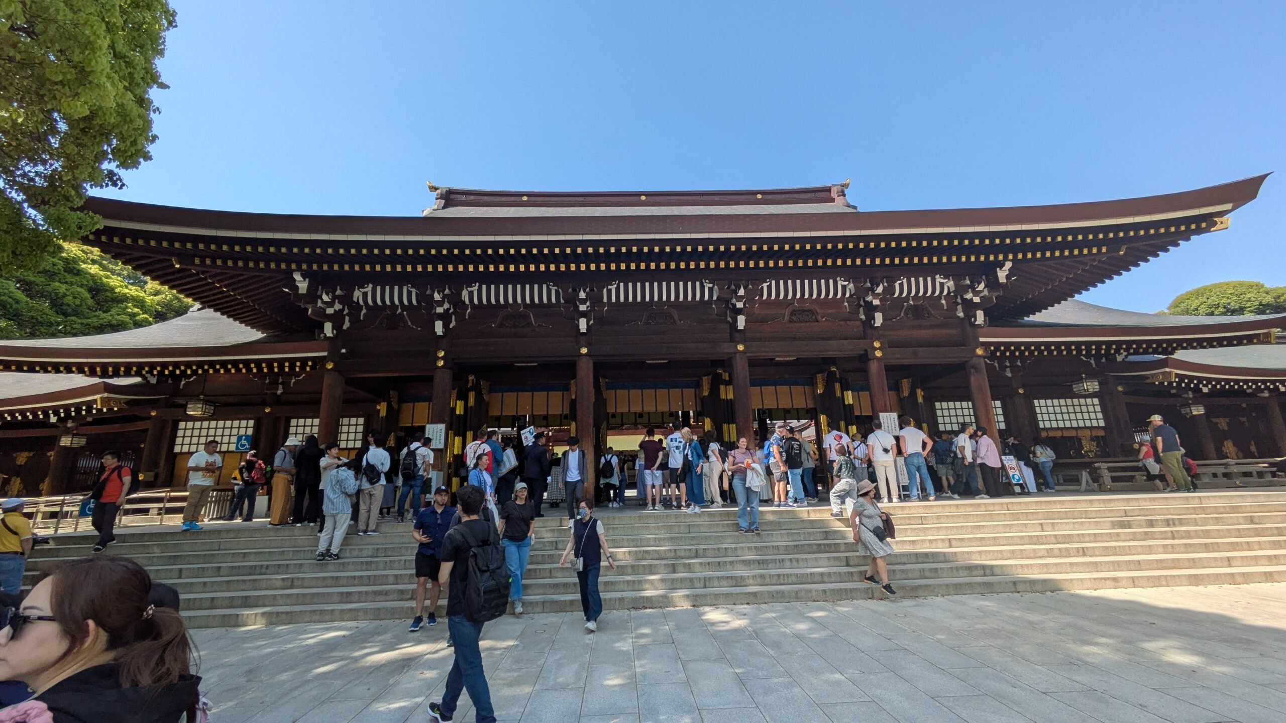 Meiji Jingu à Tokyo : visite du sanctuaire au cœur de la forêt